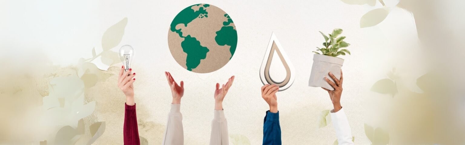 About us – EcoBloom